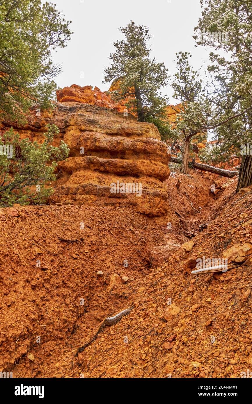 Vertical shot of the red sandy rocks at the Red Canyon in the Dixie ...