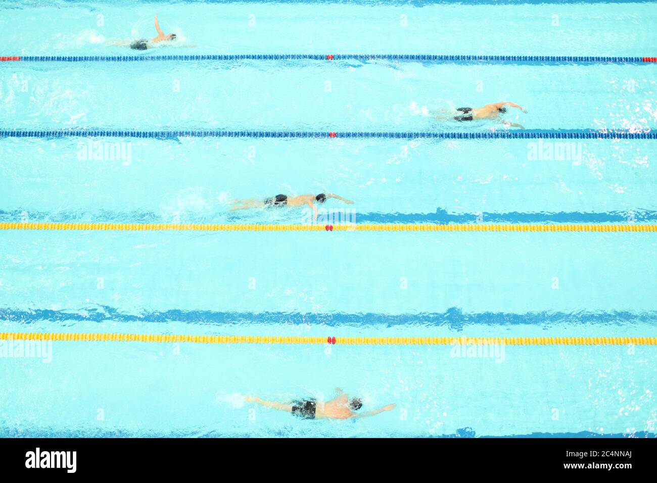 Top view to men competing in freestyle swimming in a swimming pool ...