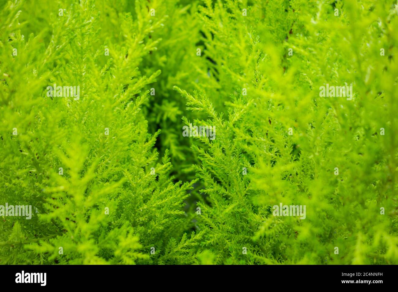 Backdrop full frame hi-res stock photography and images - Alamy