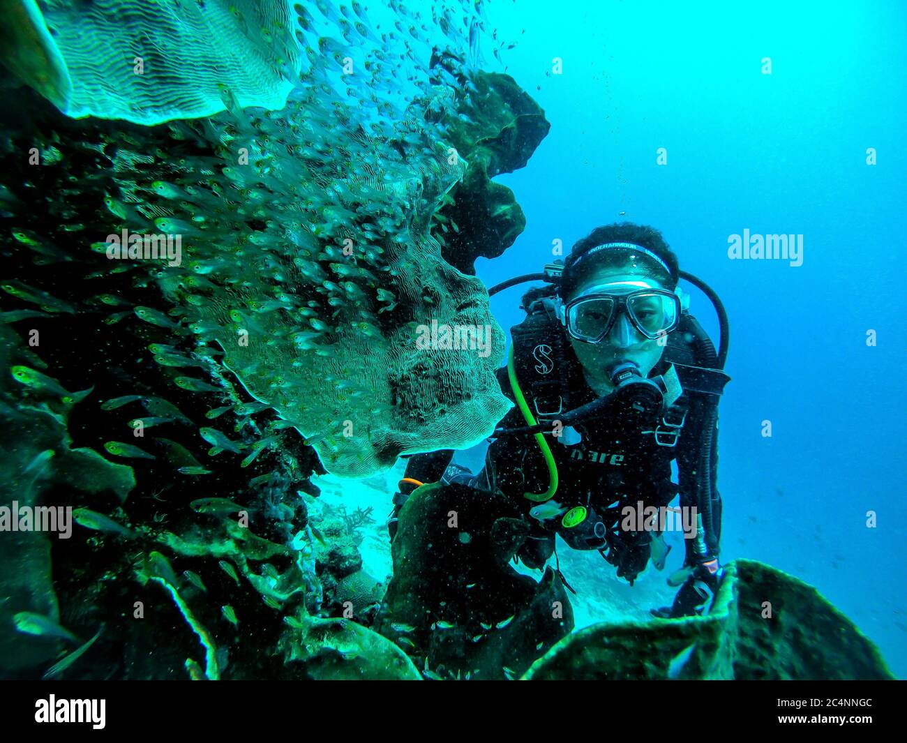 Women who enjoy diving in the clean sea Stock Photo - Alamy