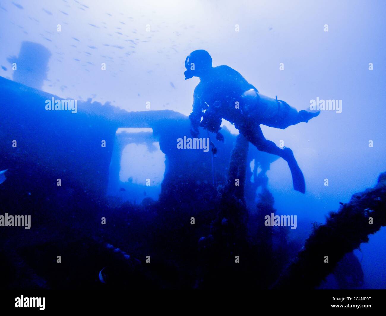 Women who enjoy diving in the clean sea Stock Photo - Alamy