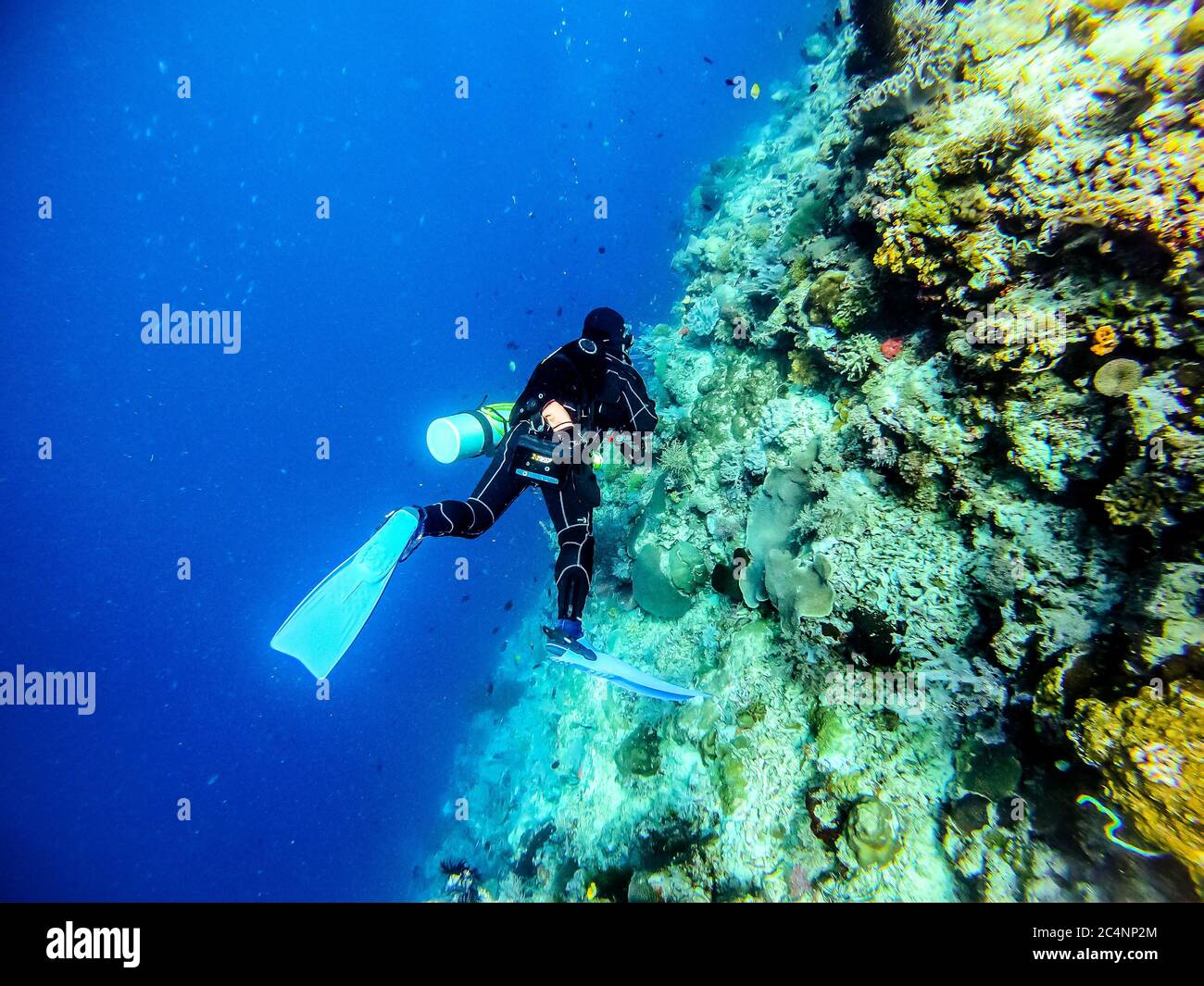 Women who enjoy diving in the clean sea Stock Photo - Alamy