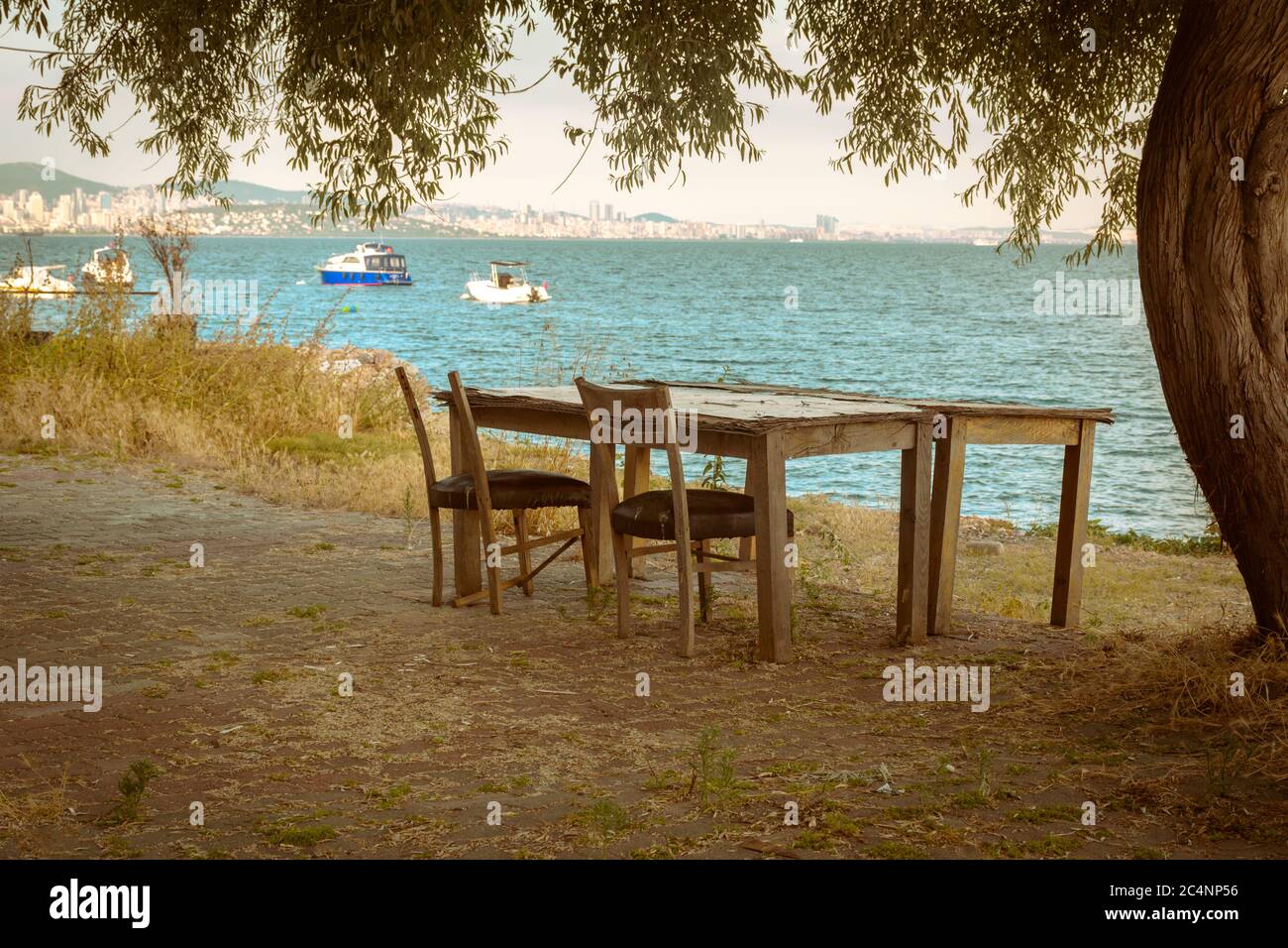 Table chair under tree in hi-res stock photography and images - Alamy