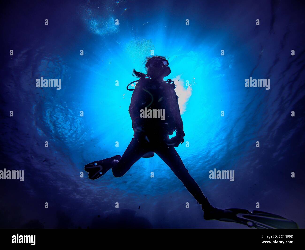 Women who enjoy diving in the clean sea Stock Photo - Alamy
