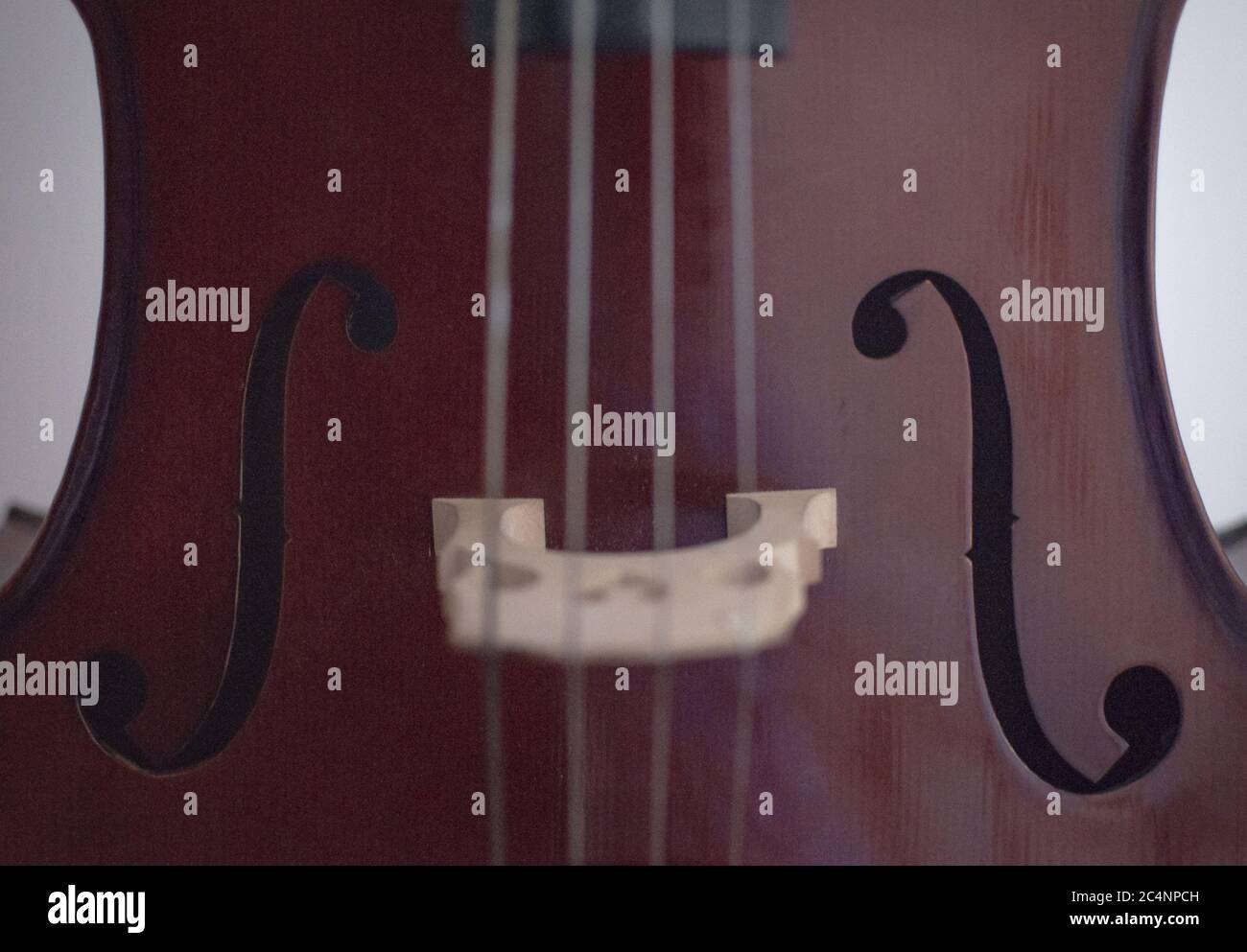 Closeup of the bridge and f-hole of a cello with a white background ...