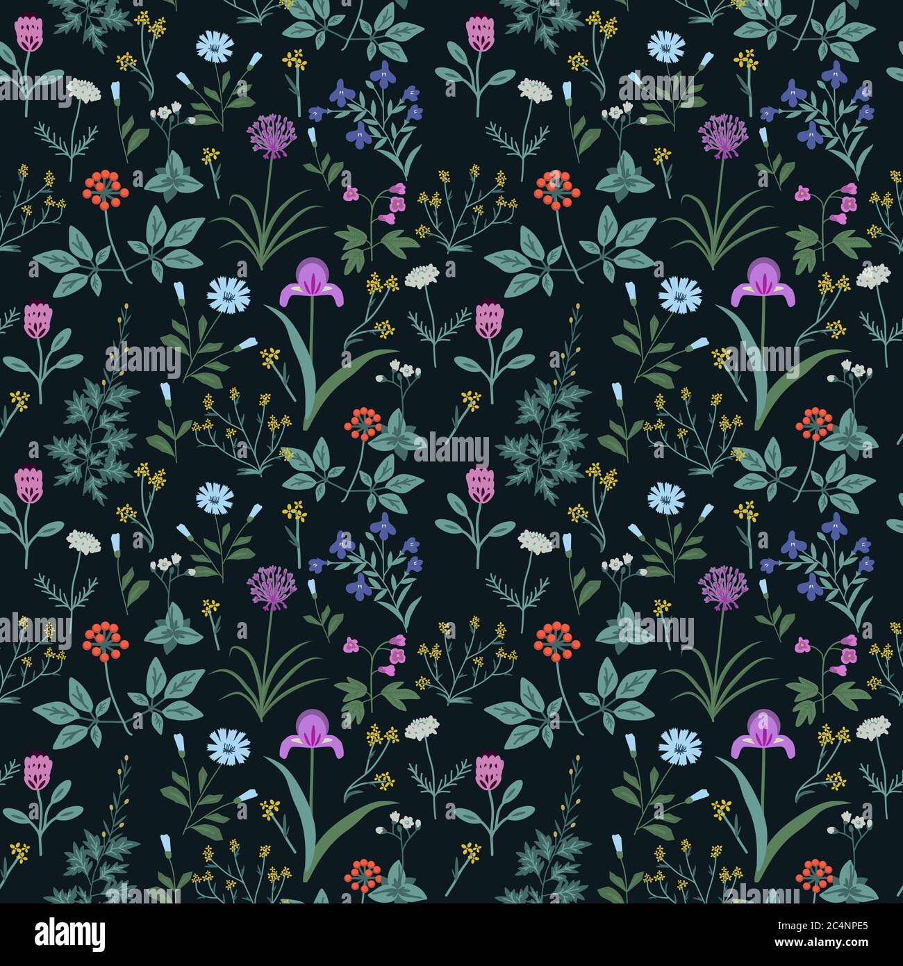 Wild purple flowers Stock Vector Images - Alamy