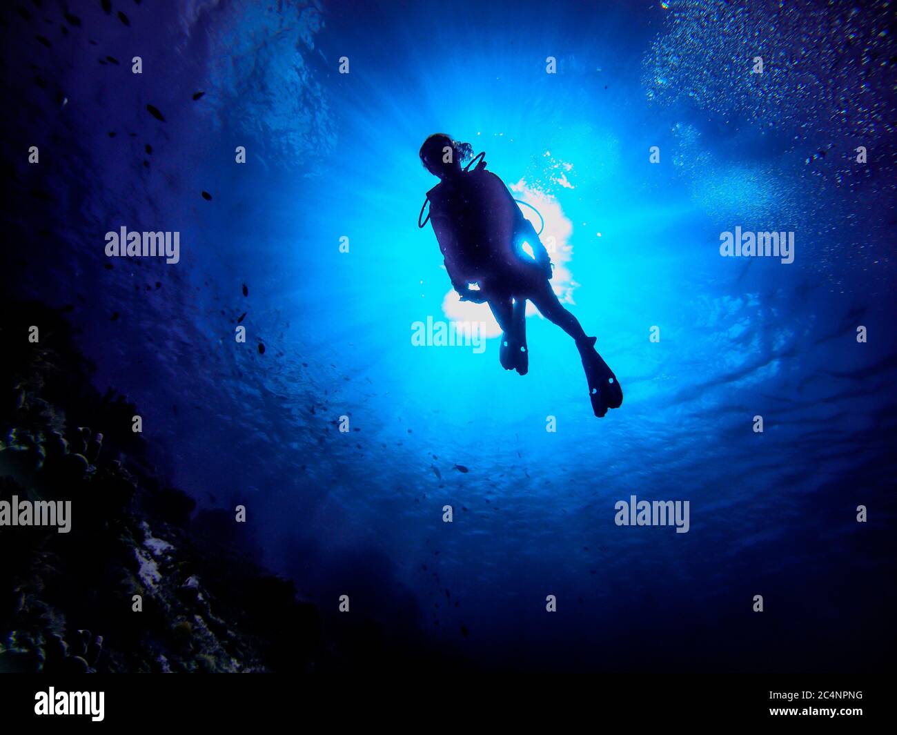 Women who enjoy diving in the clean sea Stock Photo - Alamy