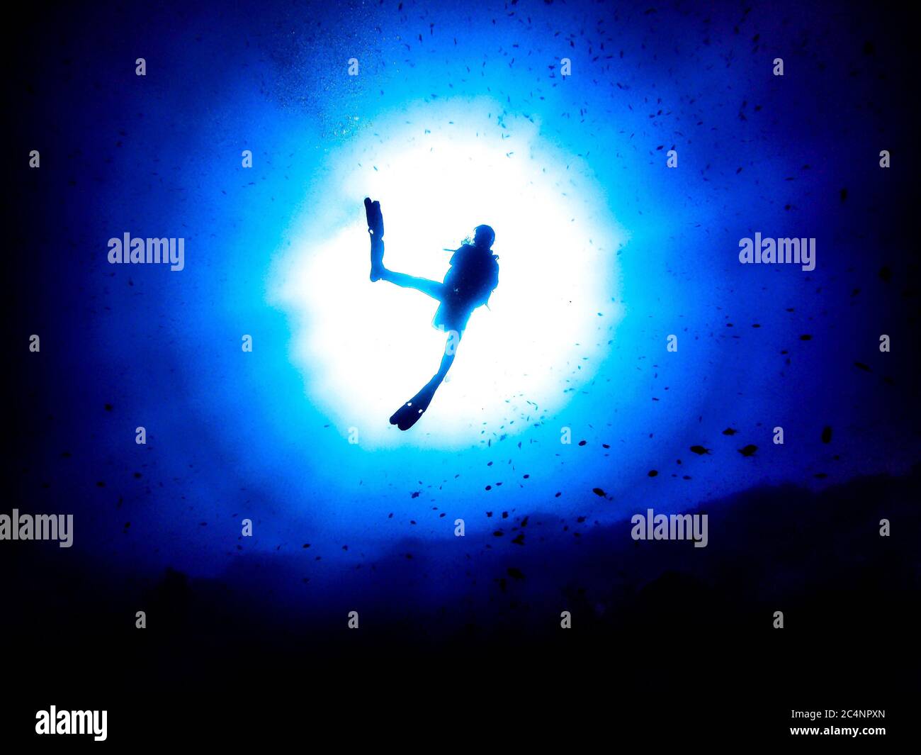 Women who enjoy diving in the clean sea Stock Photo - Alamy
