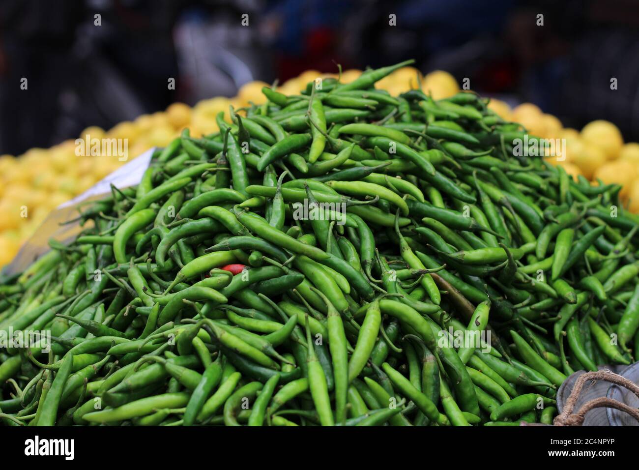 Lot of fresh green chilli in a market Stock Photo - Alamy
