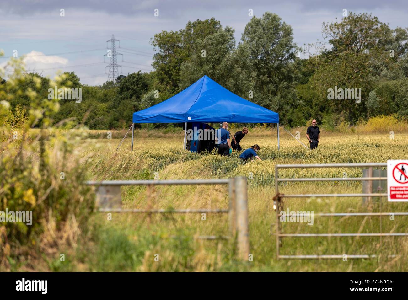 Blue peugeot hi-res stock photography and images - Alamy