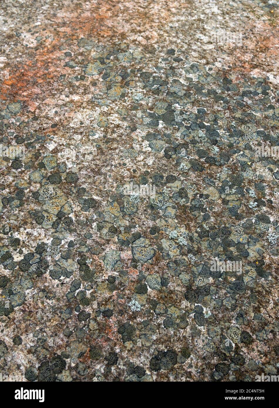 Bedrock surface hi-res stock photography and images - Alamy