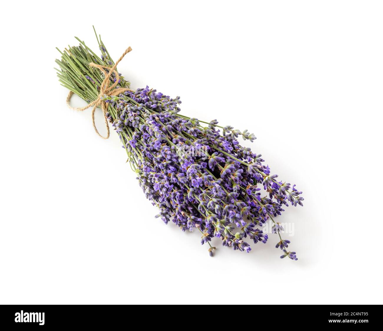 Cosmetology card Cut Out Stock Images & Pictures - Alamy