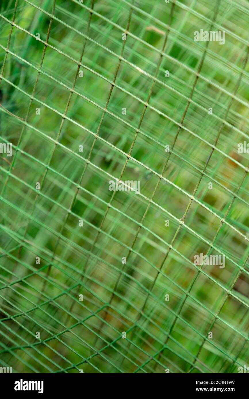 Green wire mesh hi-res stock photography and images - Alamy