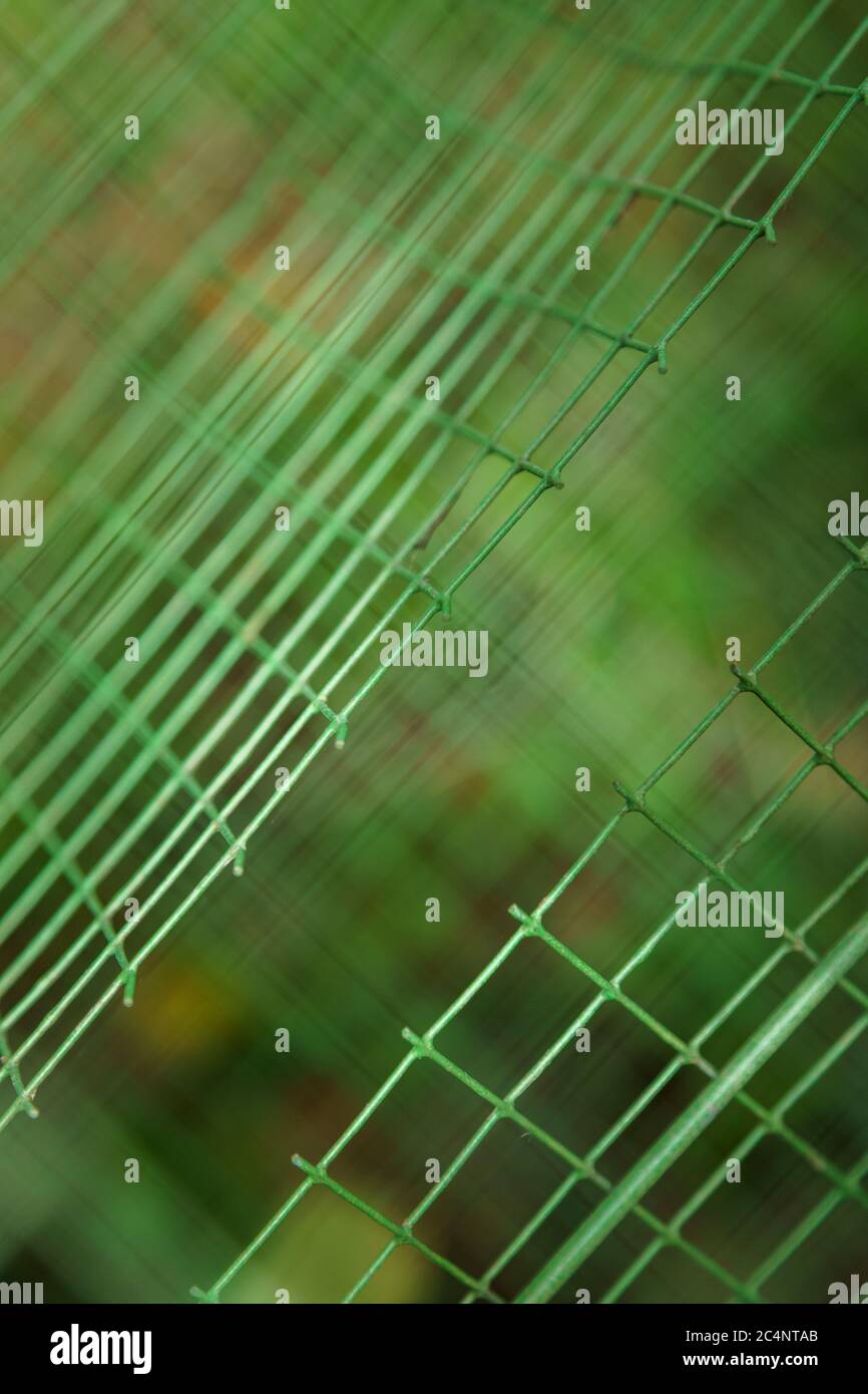 Green wire mesh hi-res stock photography and images - Alamy