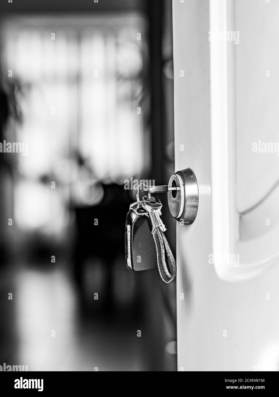 Vertical shallow focus grayscale shot of keys in a door lock Stock ...