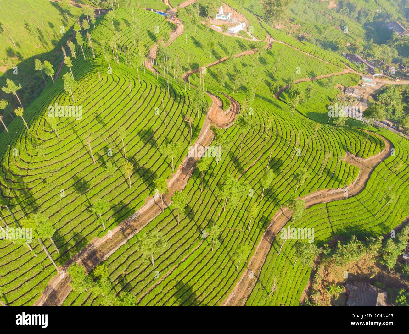 Aerial view of tea plantations near the city of Munar. India Stock ...