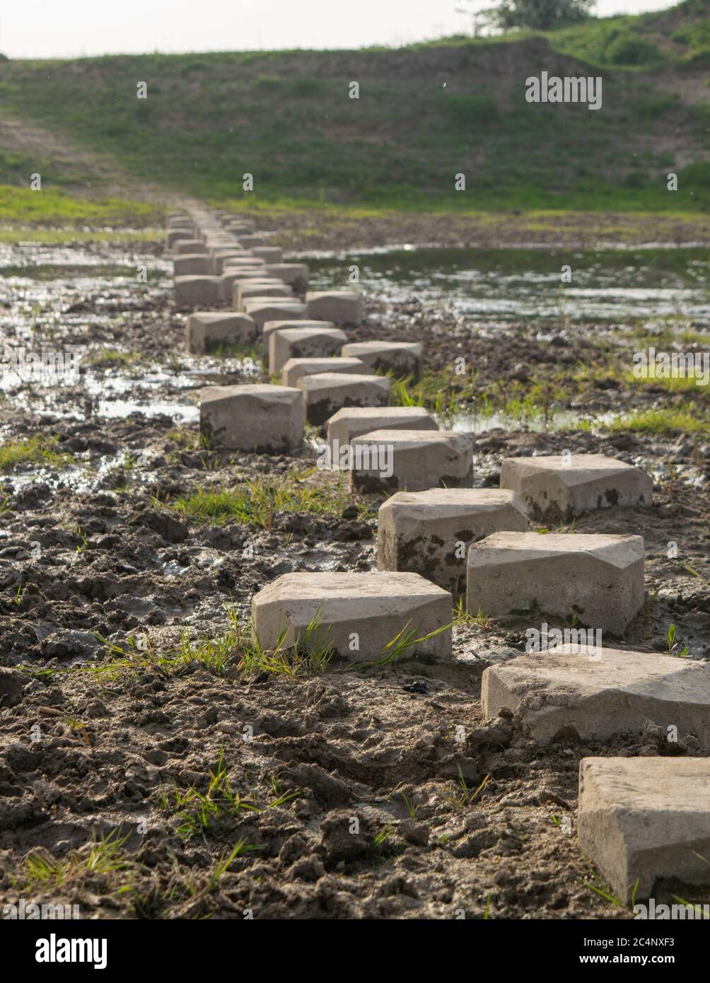 A path made of stones that stay above the surface of muddy sand and ...