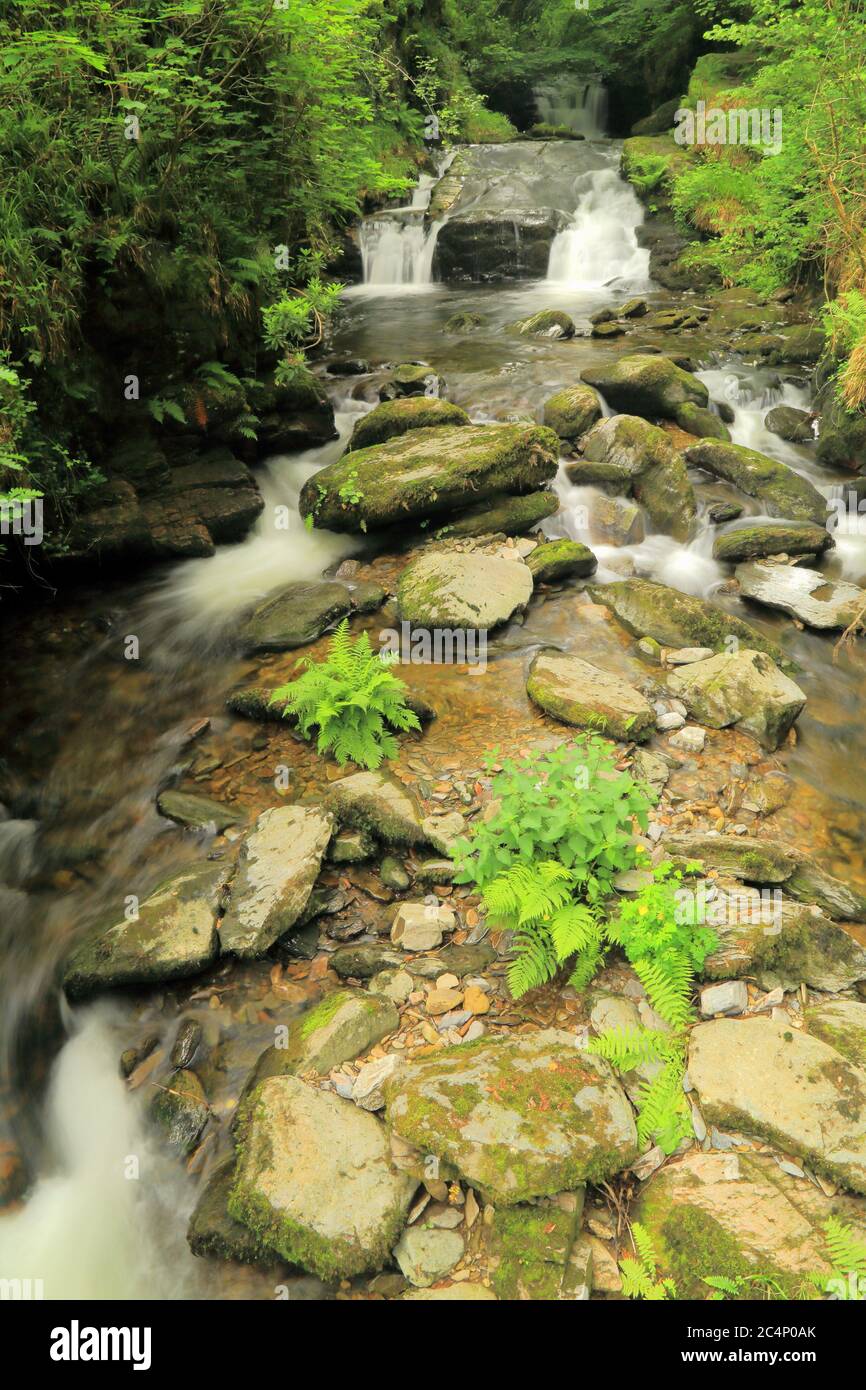 Waterfall on Hoar Oak River near Watersmeet House in Exmoor National ...