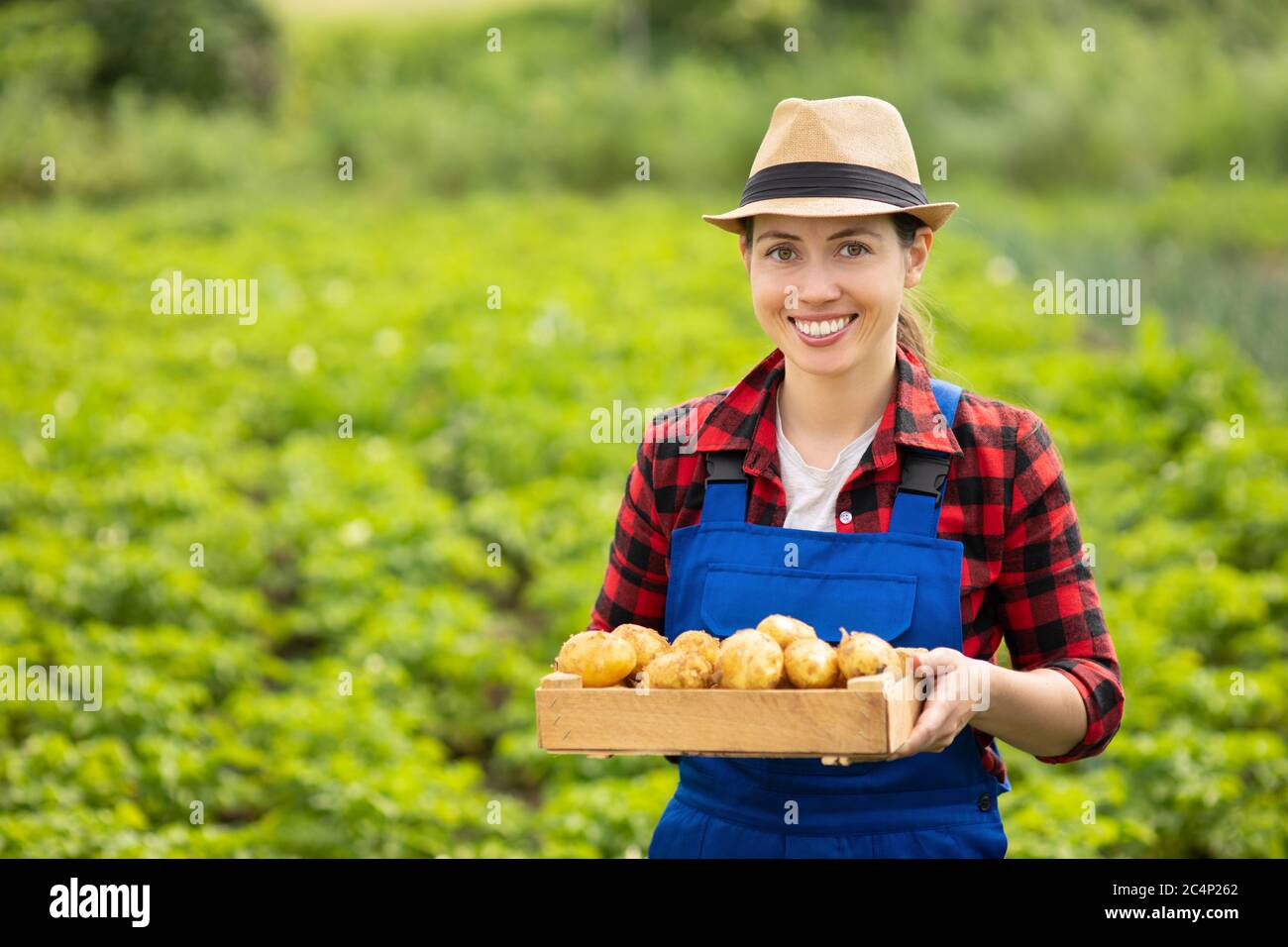 Gardener woman green plant hi-res stock photography and images - Alamy