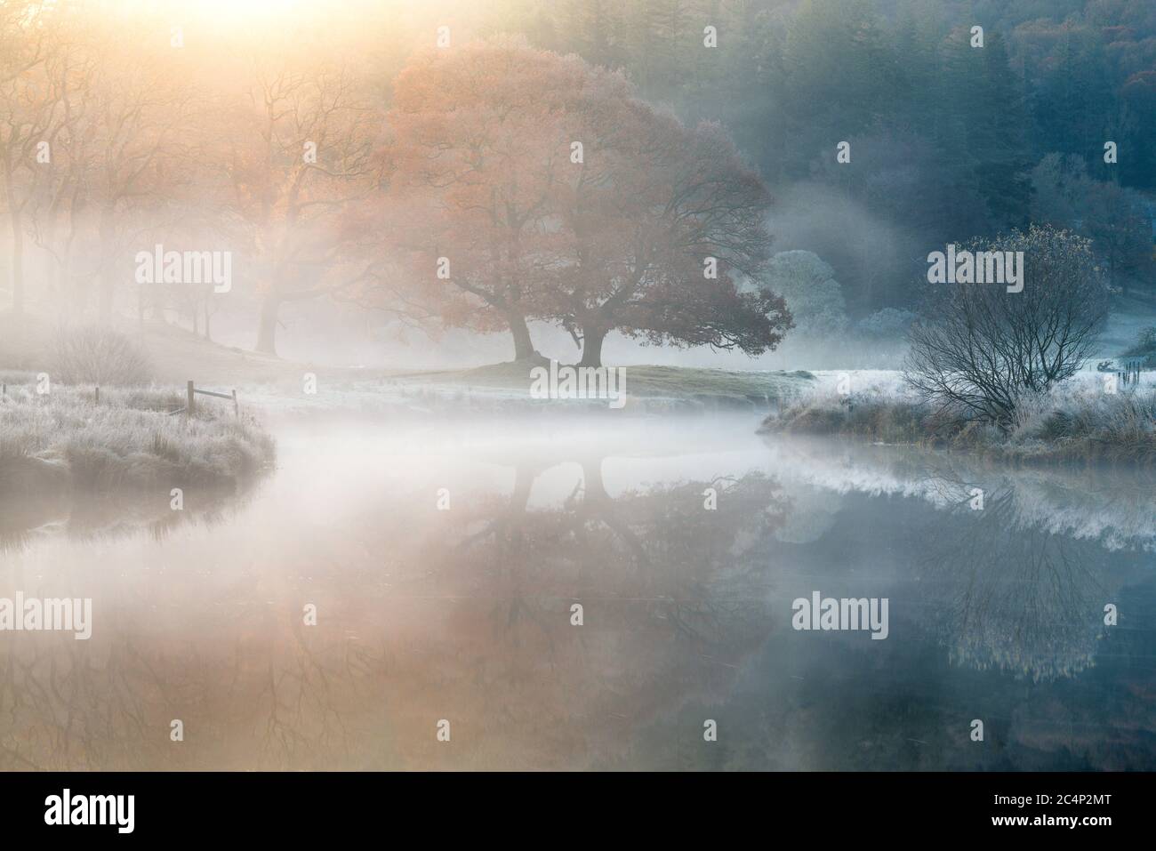 Frosty Autumn Morning With Beautiful Misty Reflections Of Oak Tree In ...