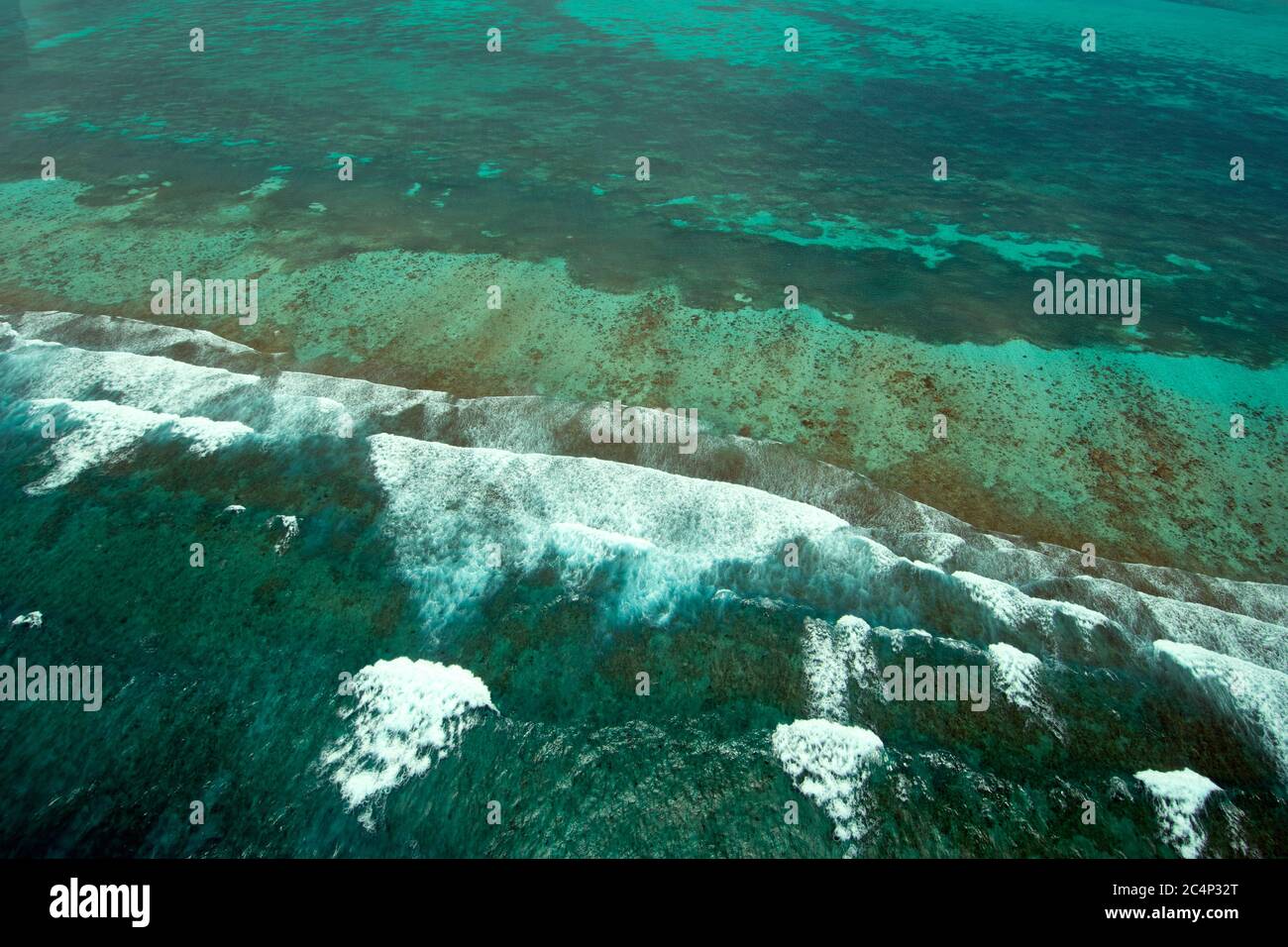 Barrier reef at the Lighthouse Reef Atoll, Belize, Mar do Caribe Stock ...