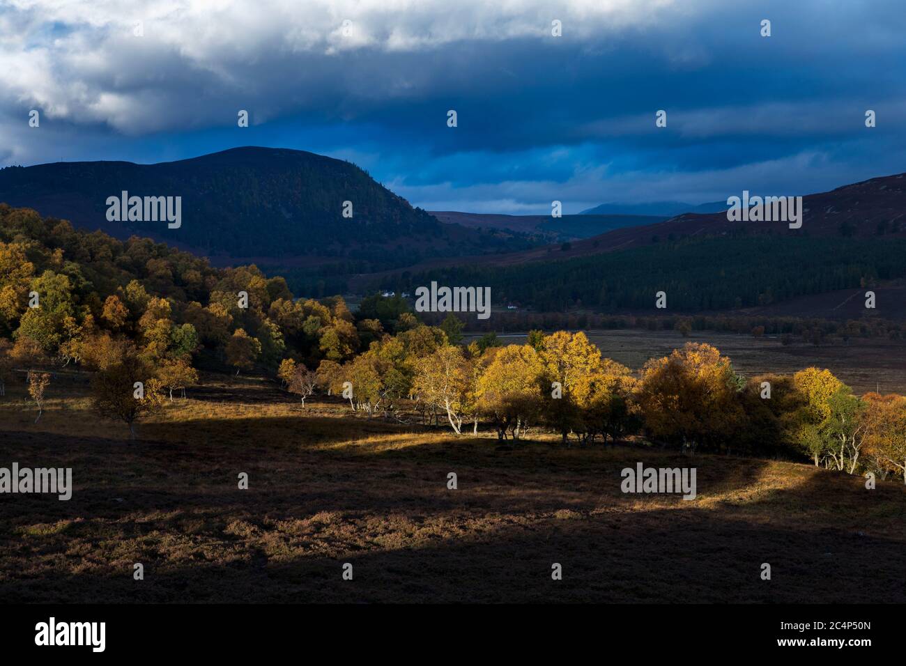 Braemar; River Dee Valley; Scotland; UK Stock Photo - Alamy