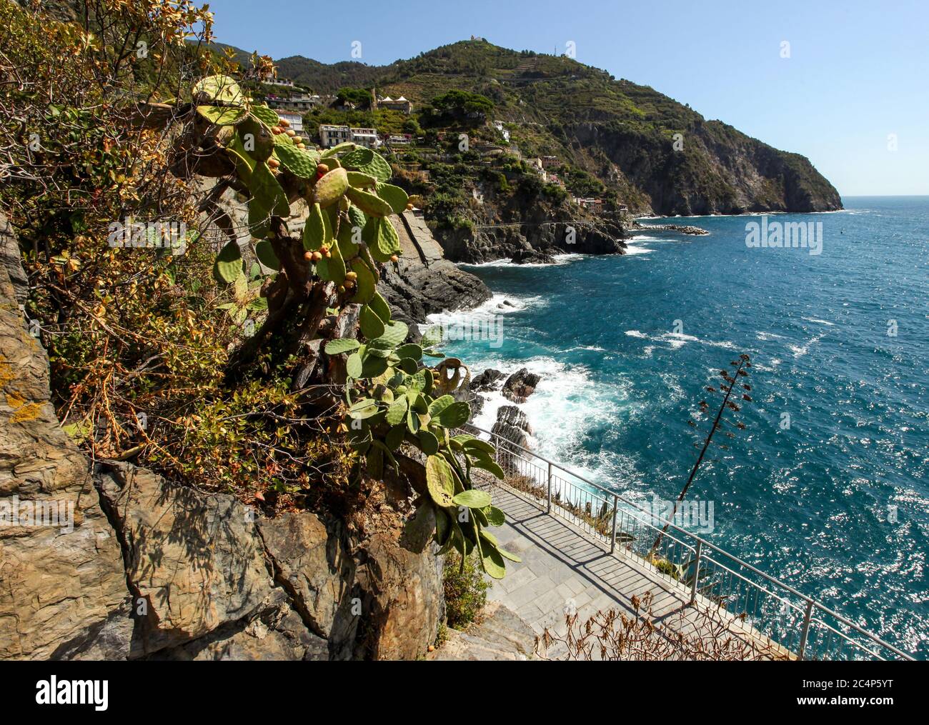 beautiful coastline in Cinque Terre, Liguria, Italy Stock Photo - Alamy