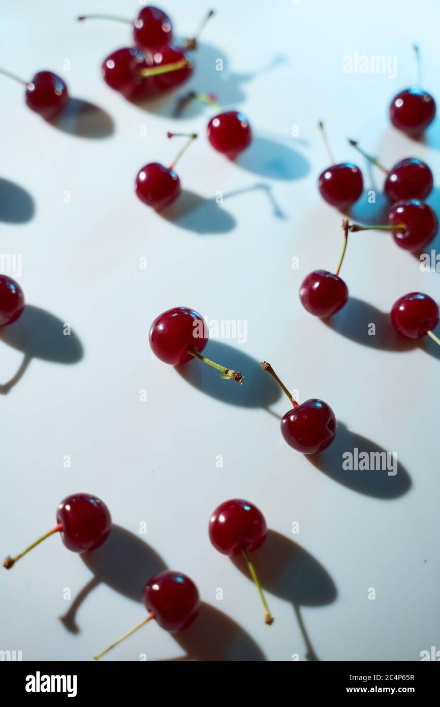 Cherry on a white background with blue highlights and shadows. Close-up ...