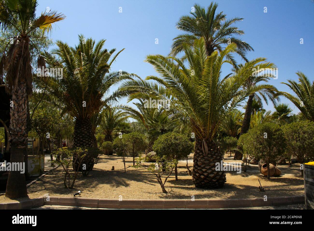 Province of Almería, Andalusia, Spain, Europe. Tabernas Desert ...
