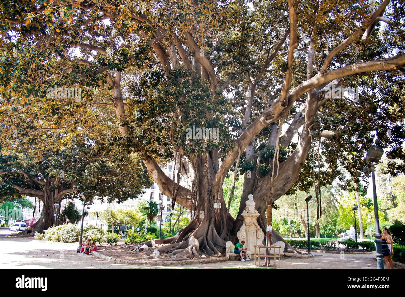 València, Comunidad Valenciana, Spain. Glorieta Gardens (Jardins de la ...