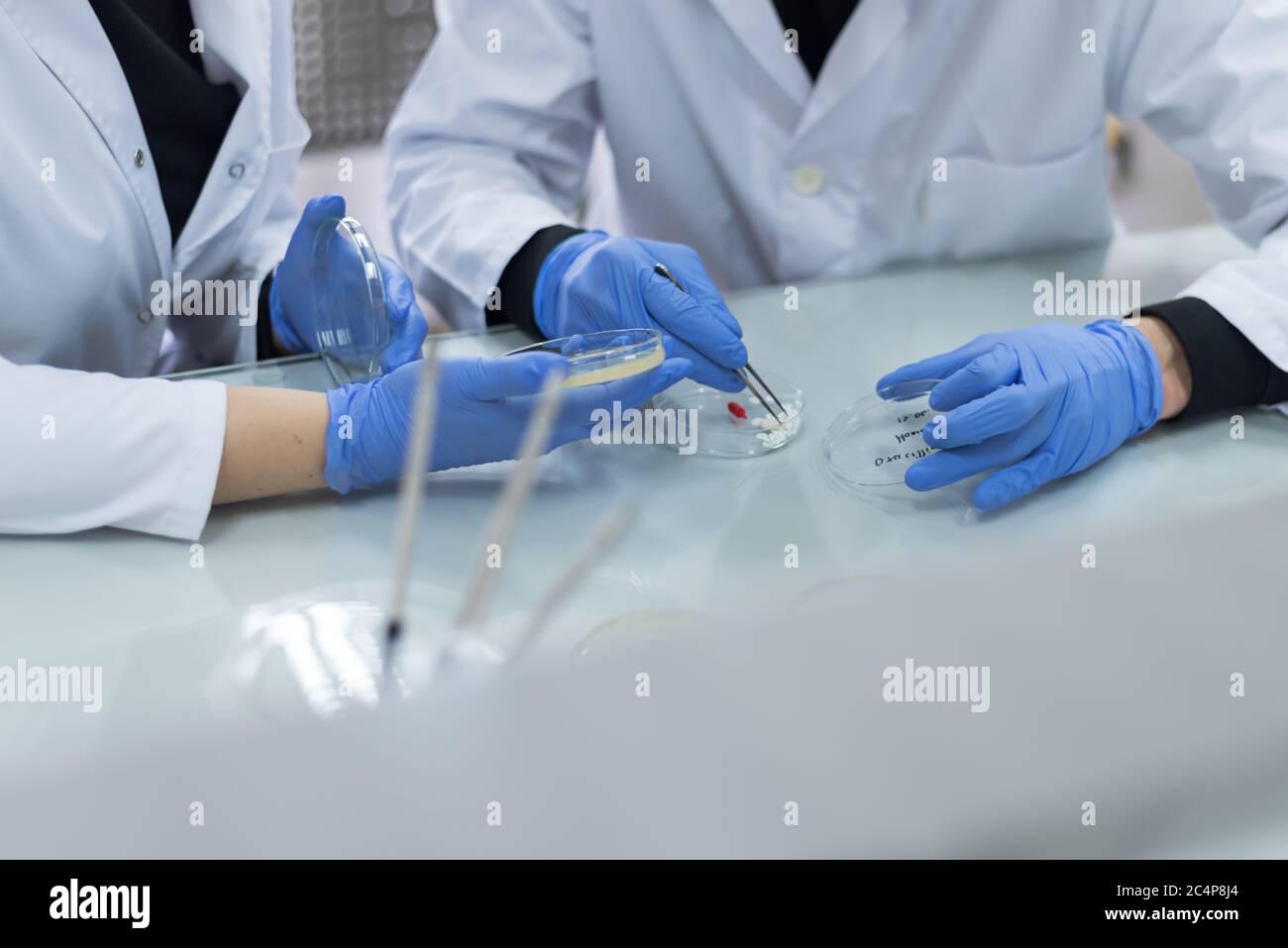 Group of Laboratory scientists working at lab with test tubes, test or ...