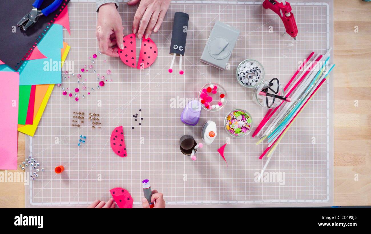 Flat lay. Kids papercraft. Making paper bugs out of the empty toilet ...