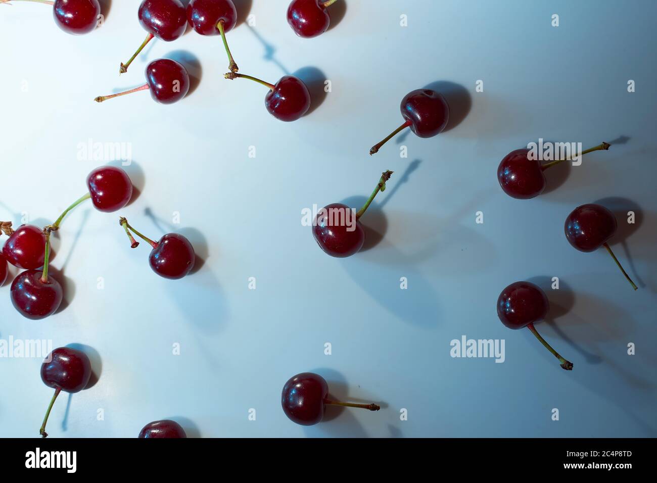 Cherry on a white background with blue highlights and shadows. Close-up ...