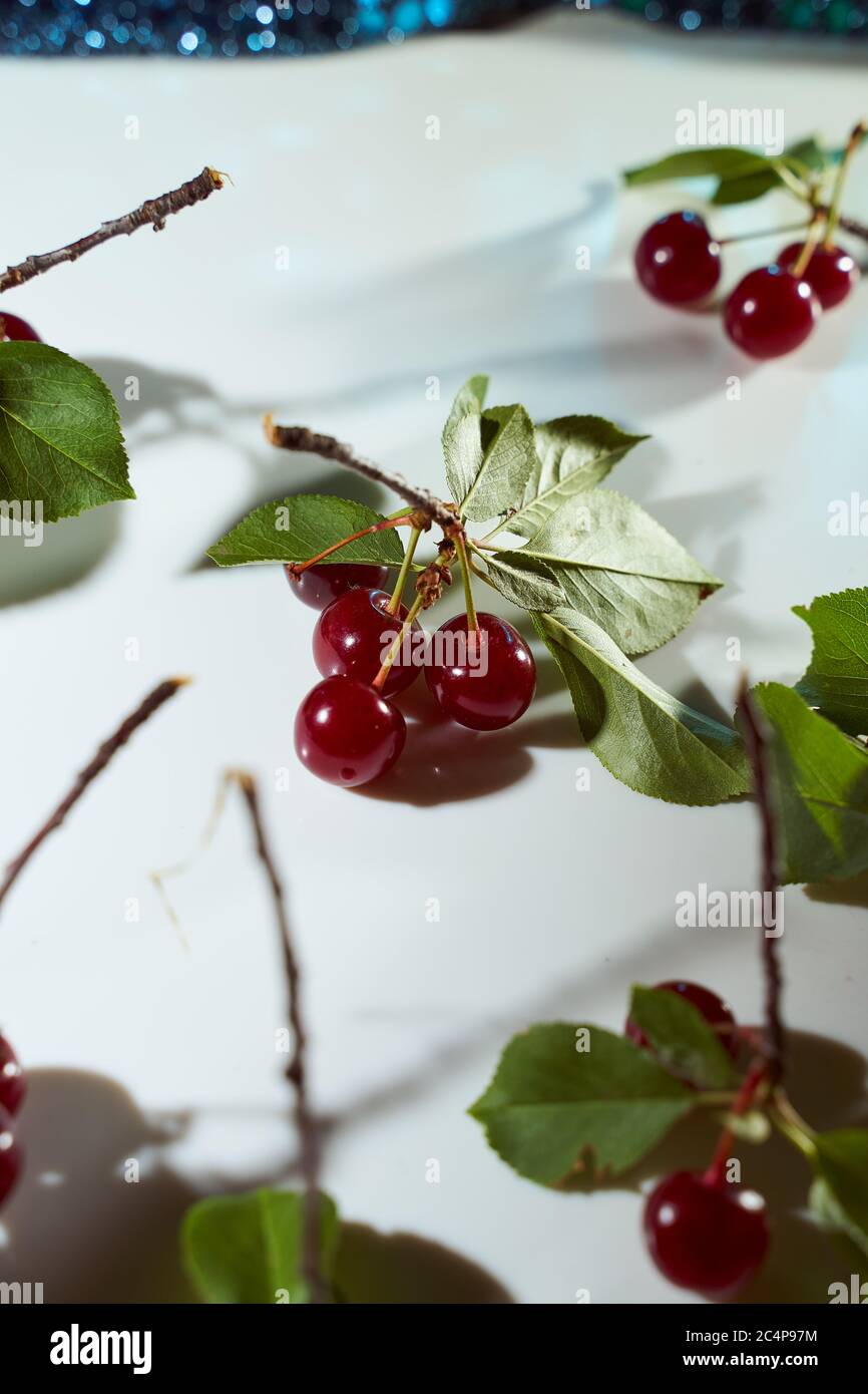 Cherry on a white background with blue highlights and shadows. Close-up ...