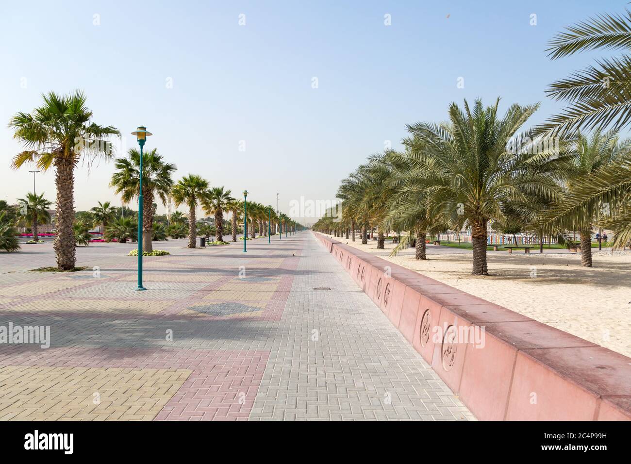A wide sidewalk along which palm trees and tropical plants grow Stock ...