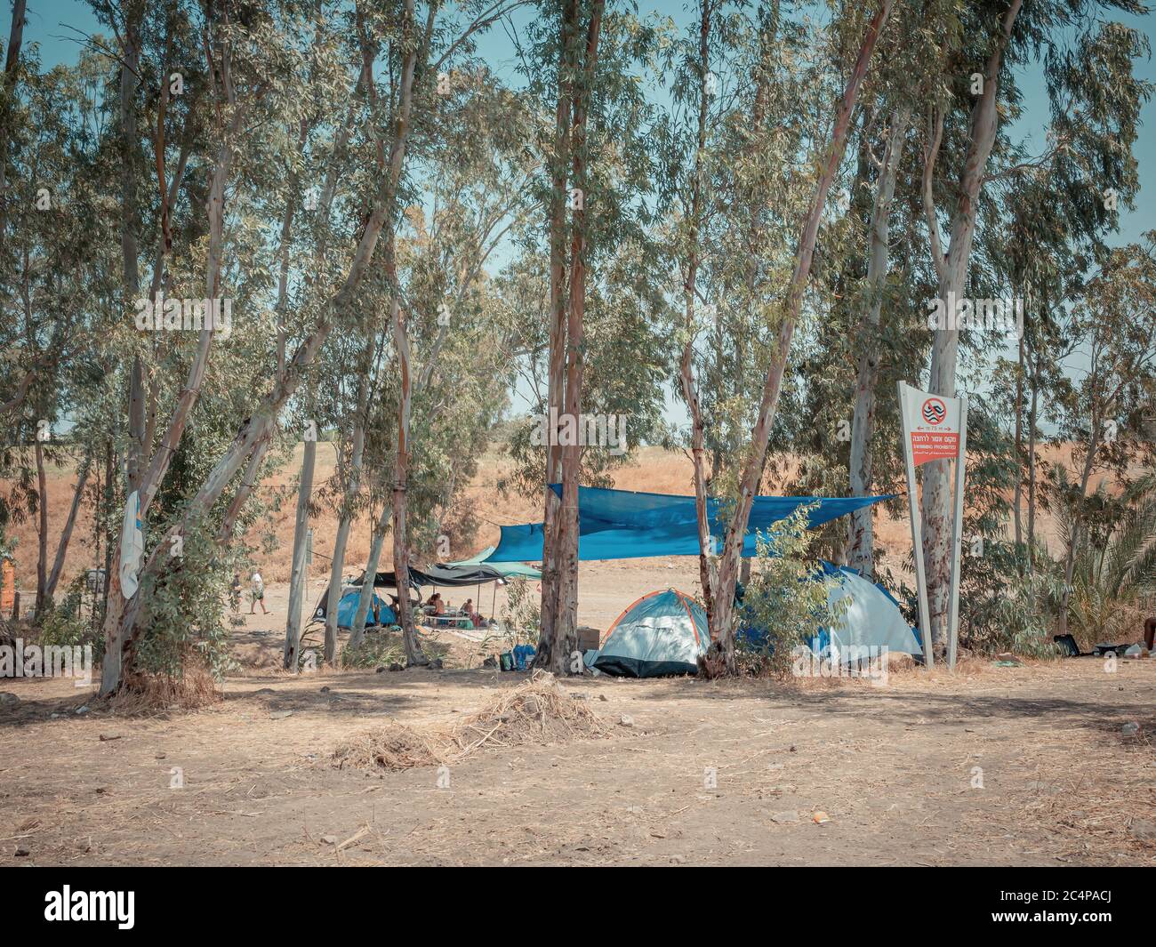 Many dome tents at a camping site near the Eucalyptus trees in Jordan ...