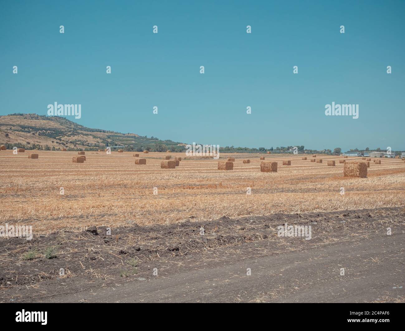 Degania hi-res stock photography and images - Alamy