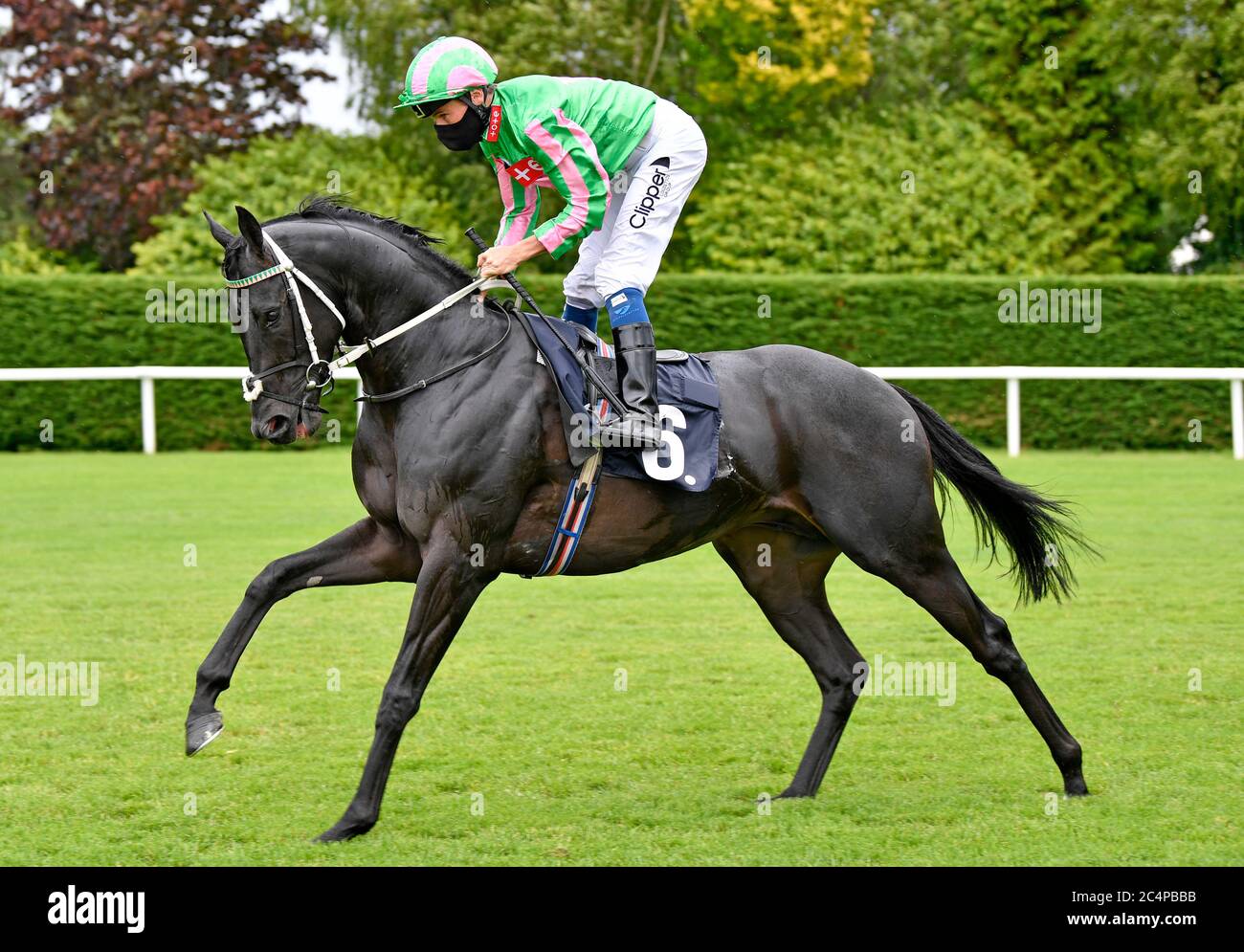 Pogo horse hi-res stock photography and images - Alamy