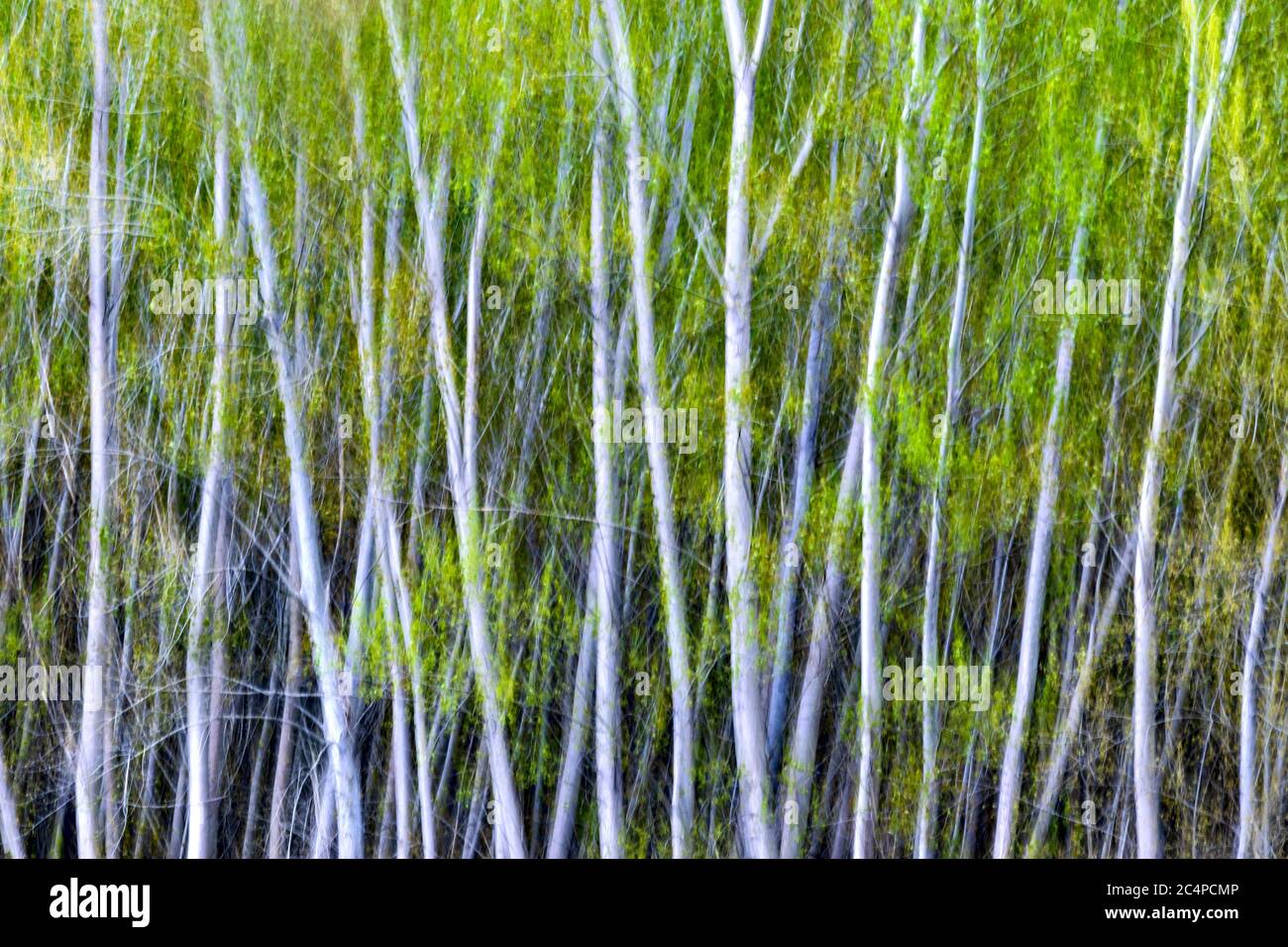 Abstract nature. Motion blur background Stock Photo - Alamy