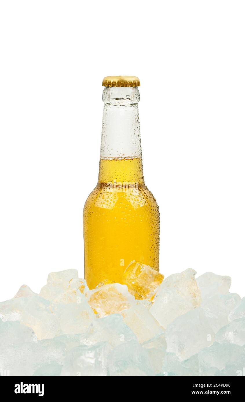 Close up one clear glass bottle of cold lager beer on ice cubes at ...