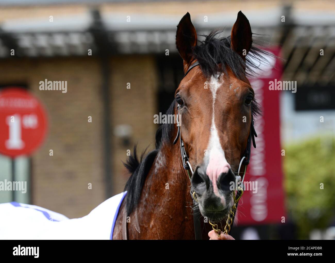 Napa Valley after winning the Finlay Volvo Cars Race at Curragh ...