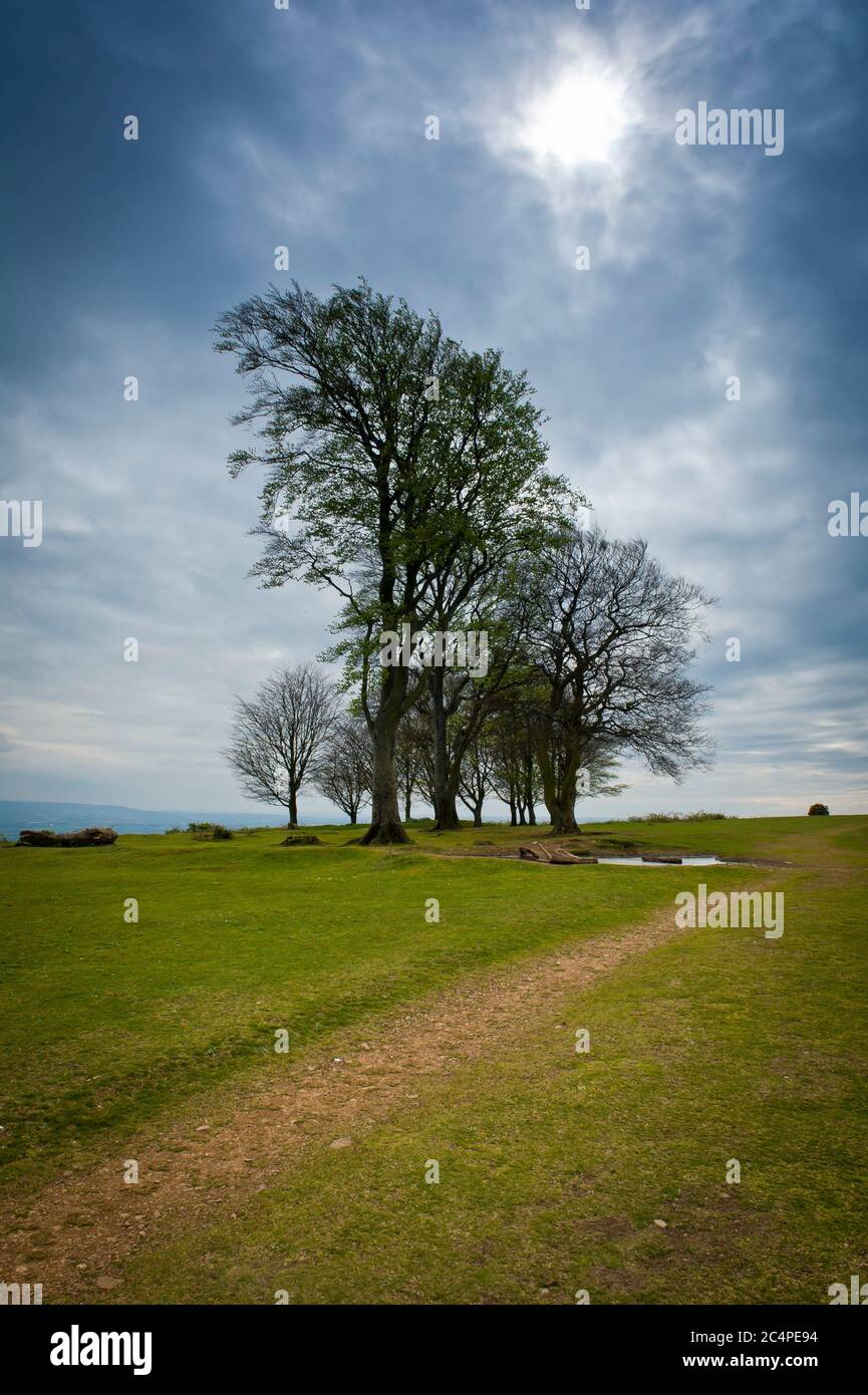 Quantocks Channel High Resolution Stock Photography and Images - Alamy