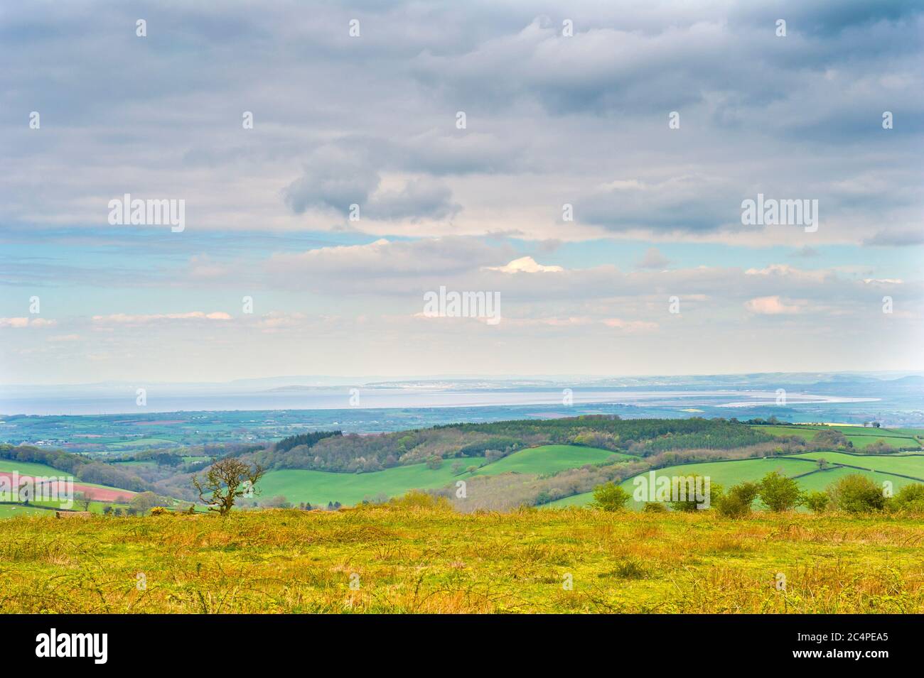 Quantocks somerset hi-res stock photography and images - Alamy