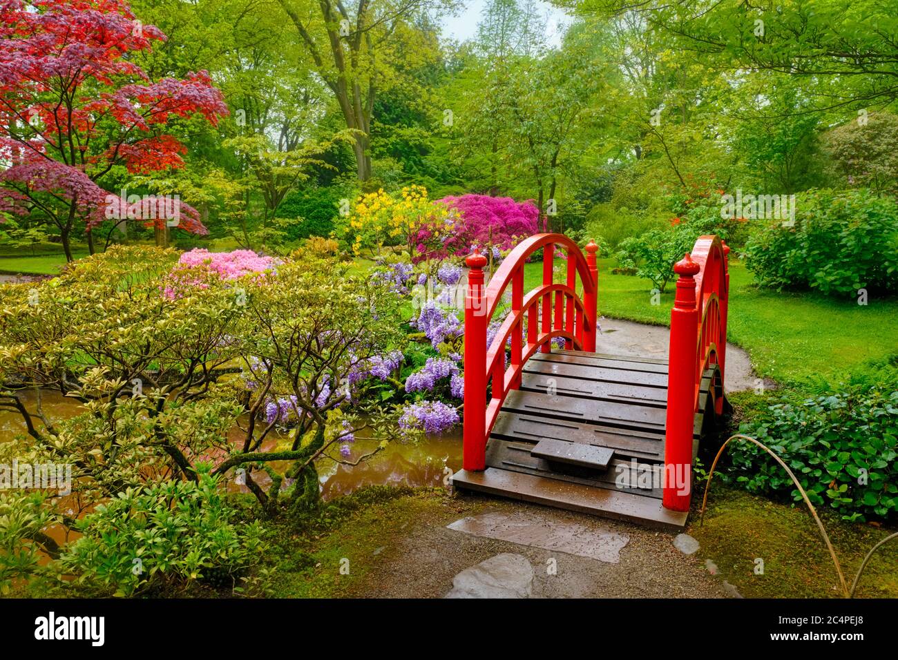 Japanese garden, Park Clingendael, The Hague, Netherlands Stock Photo ...