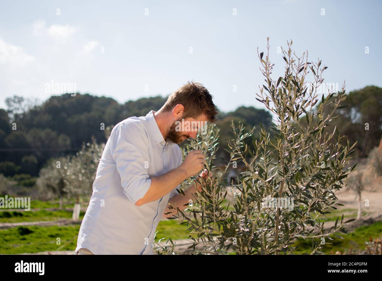 Smelling fruit farm hi-res stock photography and images - Alamy