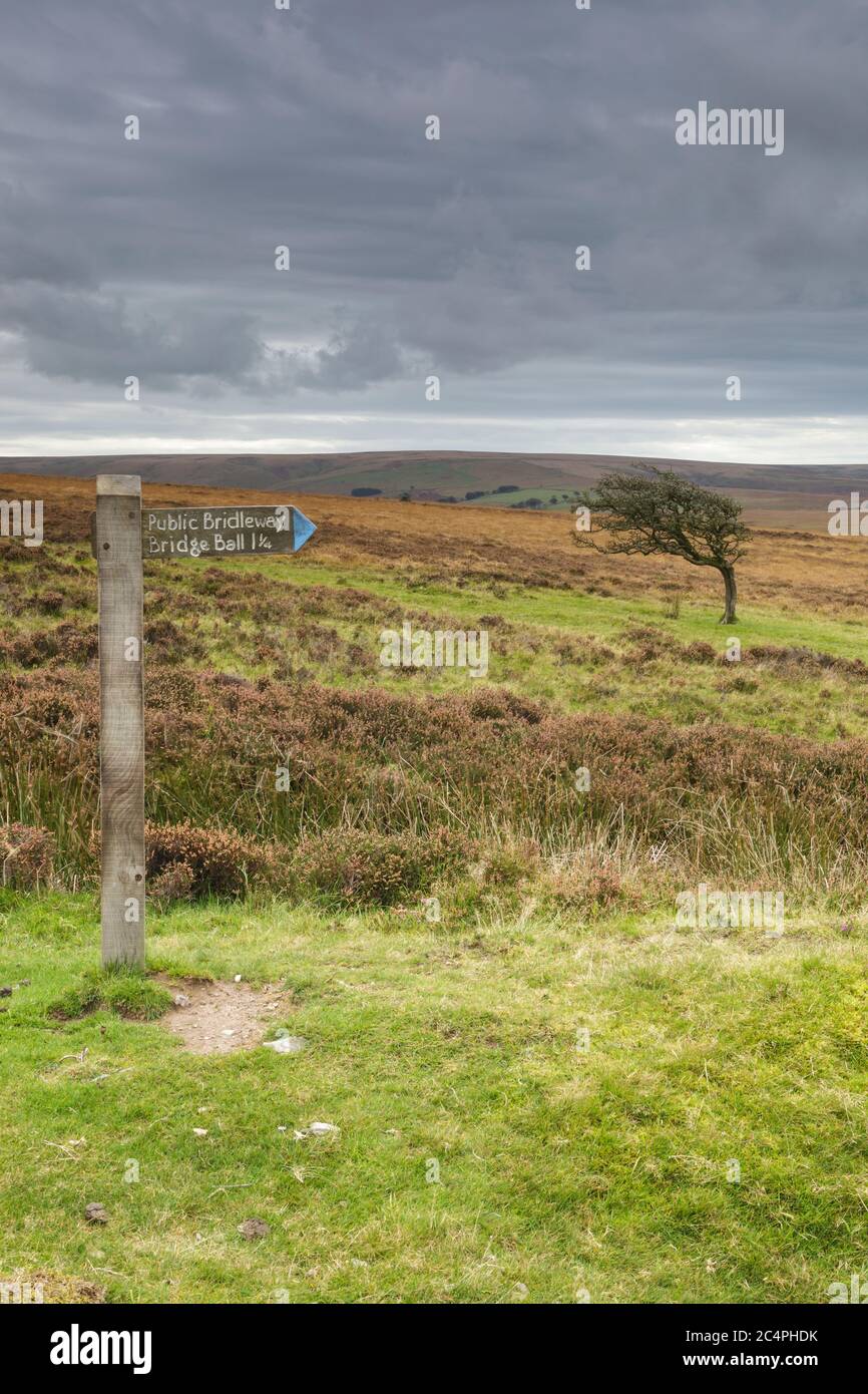 The sign points the way, but to where? A typically bleak looking Exmoor ...