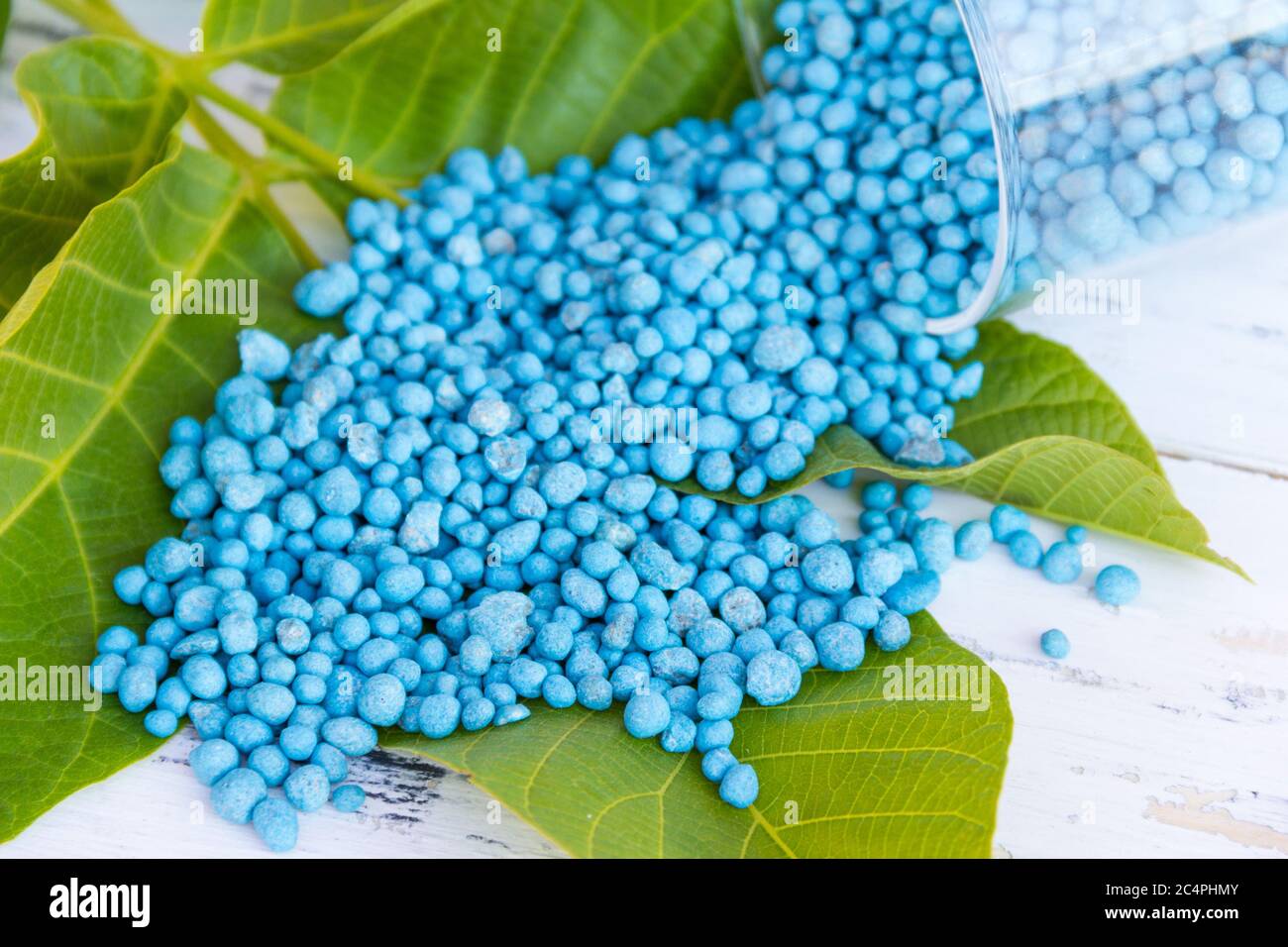Blue different shape chemical fertilizer granules on green leaf Stock ...