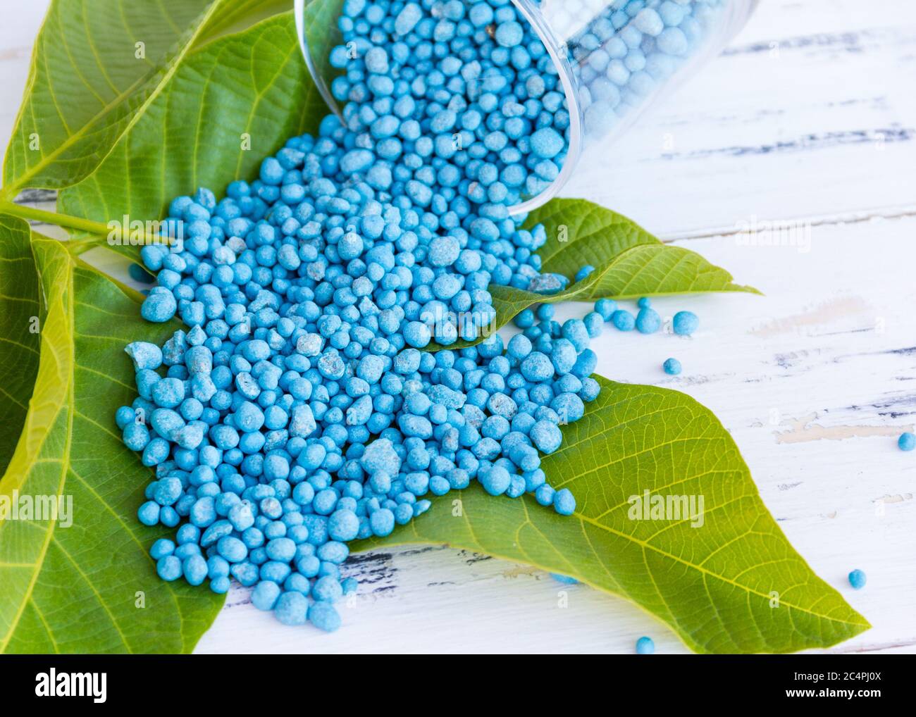 Blue different shape chemical fertilizer granules on green leaf Stock ...