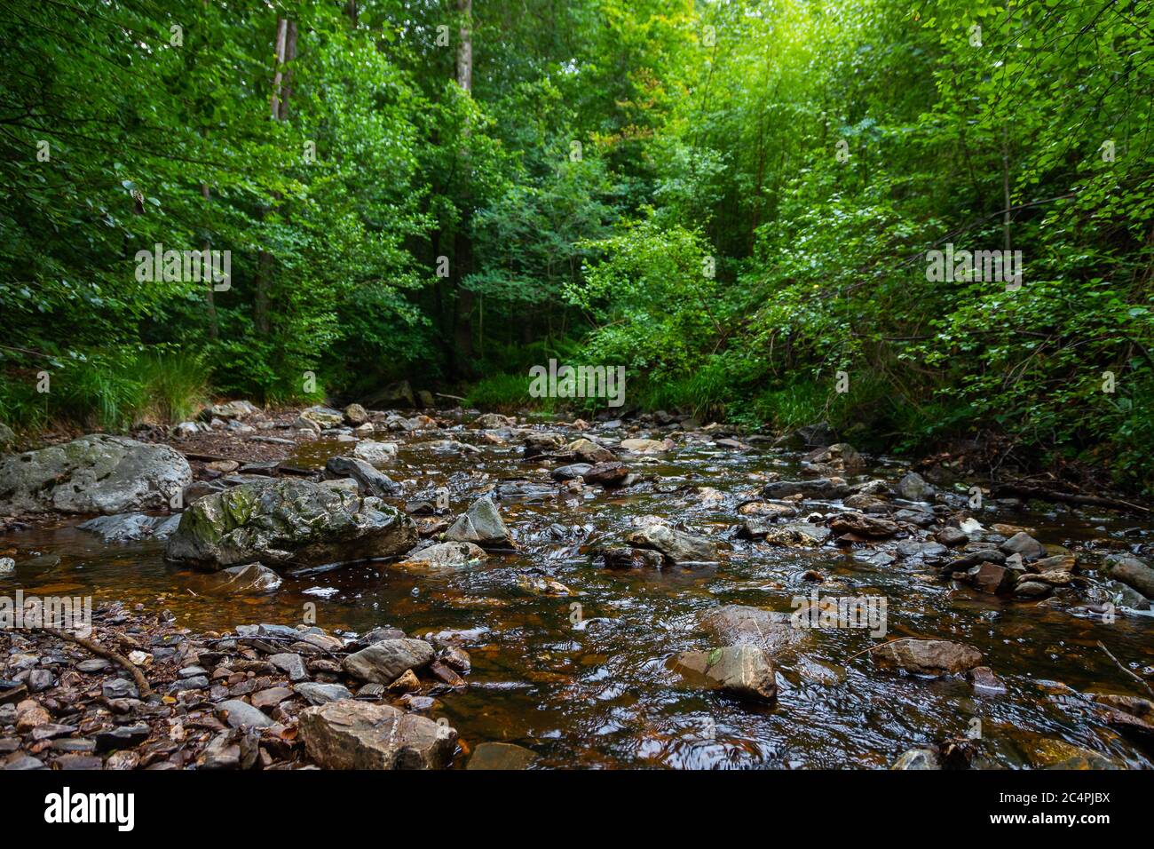 The Hoëgne river in the Belgium Ardennes is a small river full of ...