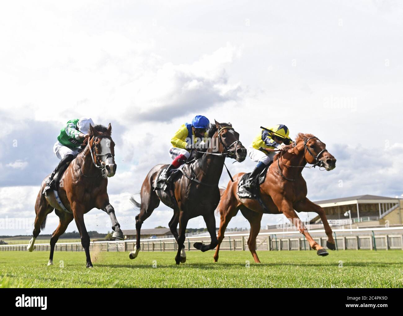 Universal order horse hi-res stock photography and images - Alamy
